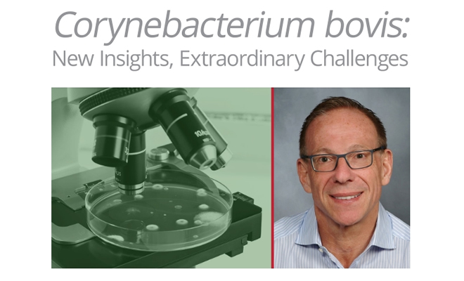 Webinar: Corynebacterium bovis: New Insights, Extraordinary Challenges