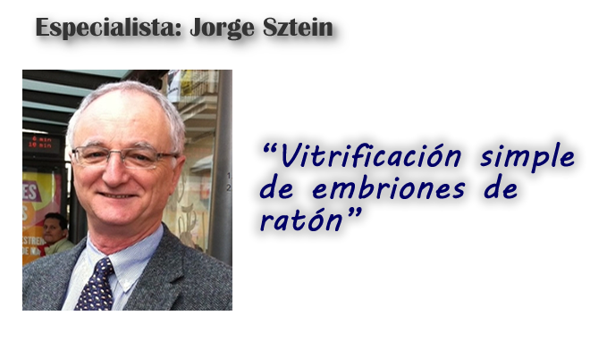 Vitrificación simple de embriones de ratón