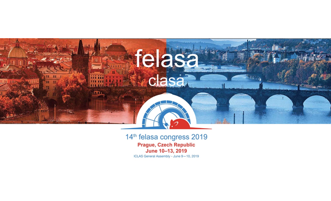 14th felasa congress 2019