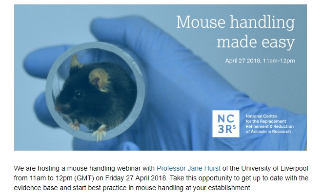 NC3Rs webinar – Mouse handling made easy: reducing anxiety in mice and ...