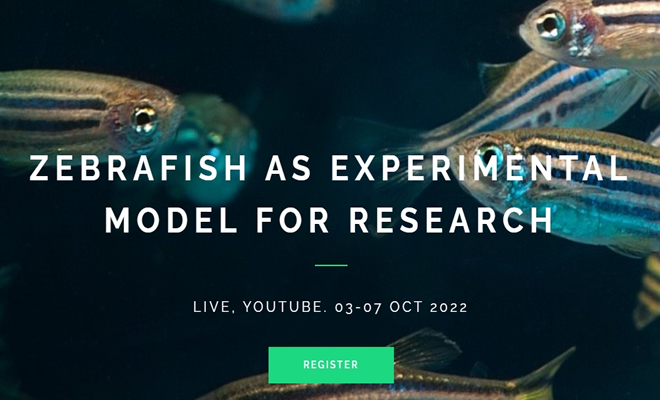 Zebrafish as Experimental Model for Research