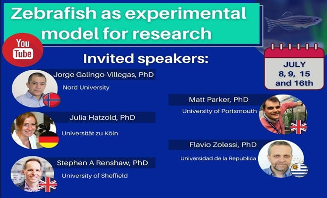Webinar: Zebrafish as an experimental model for research